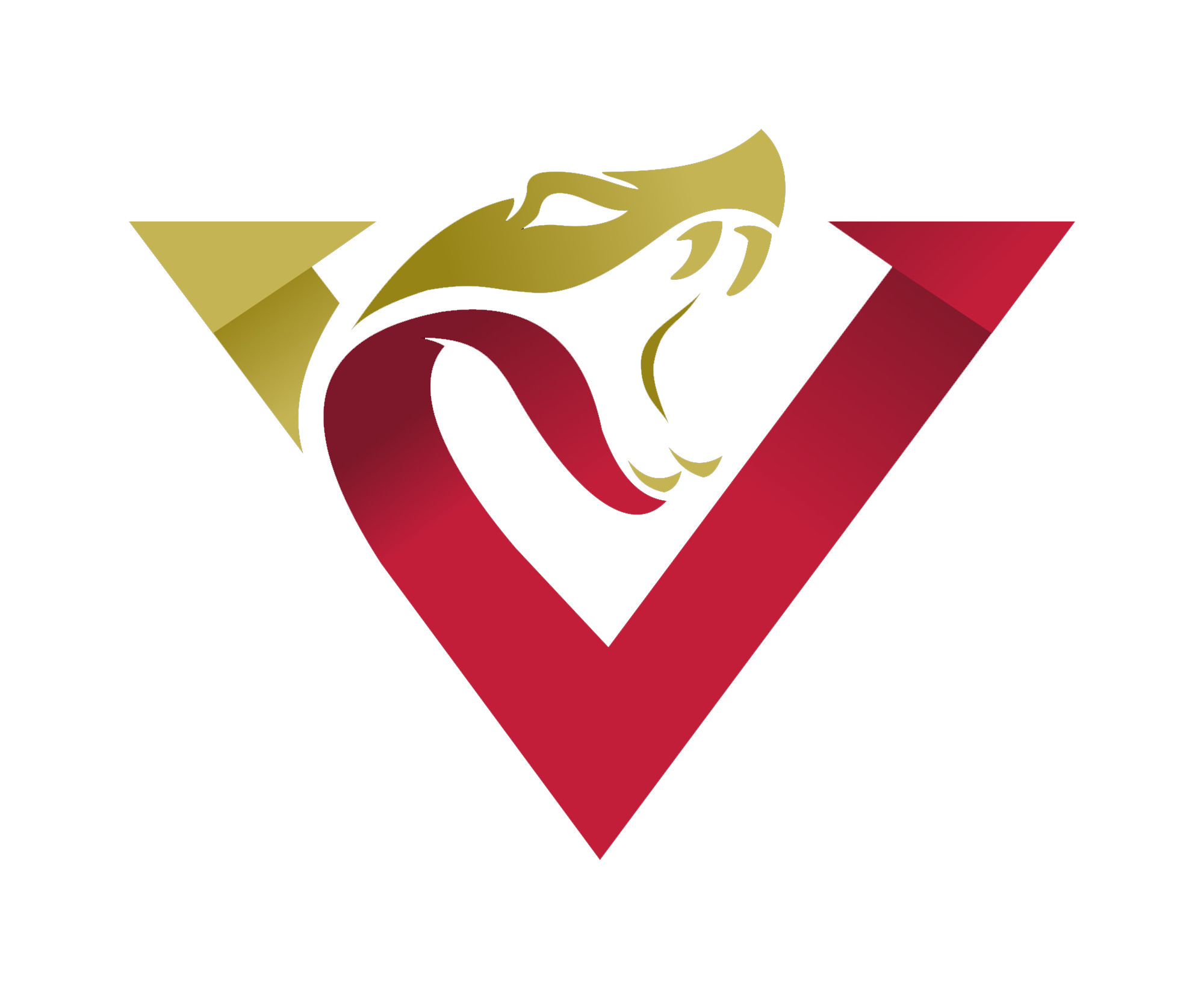 News – Northwest Vipers